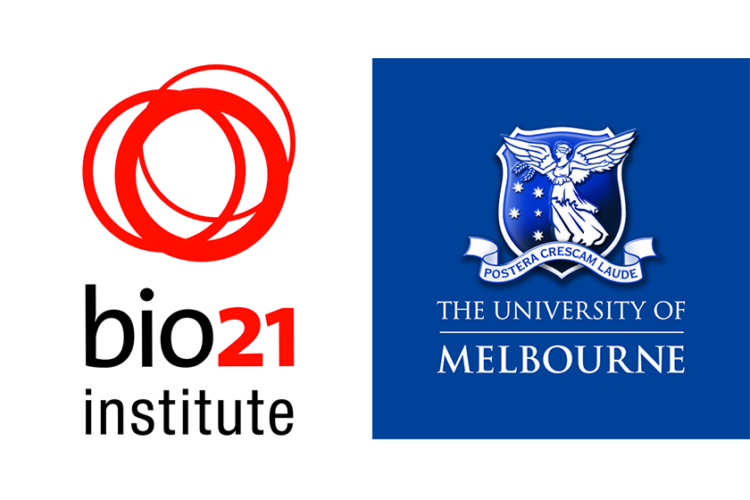 Advances in electron microscopy: High resolution TEM and latest ...